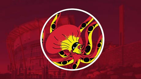 Website Design — Animikii Indigenous Technology